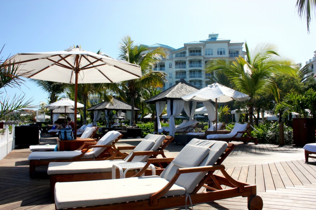 The Seven Stars Survival Guide | Eating With Ziggy